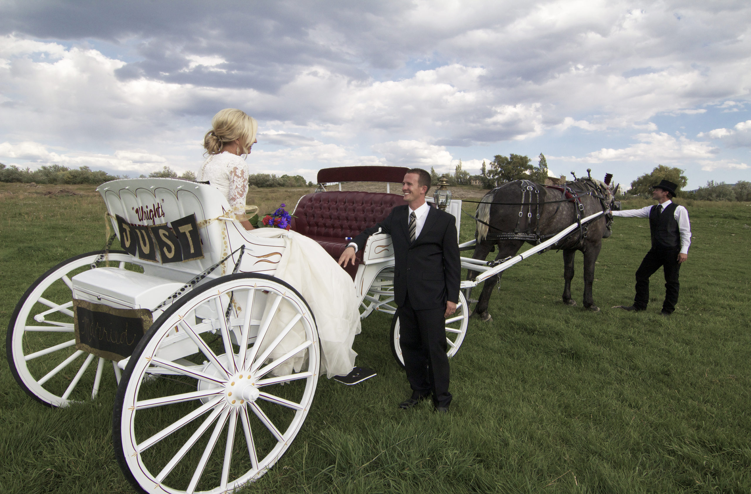 Horse Wedding Carriage - Doubletree Carriage