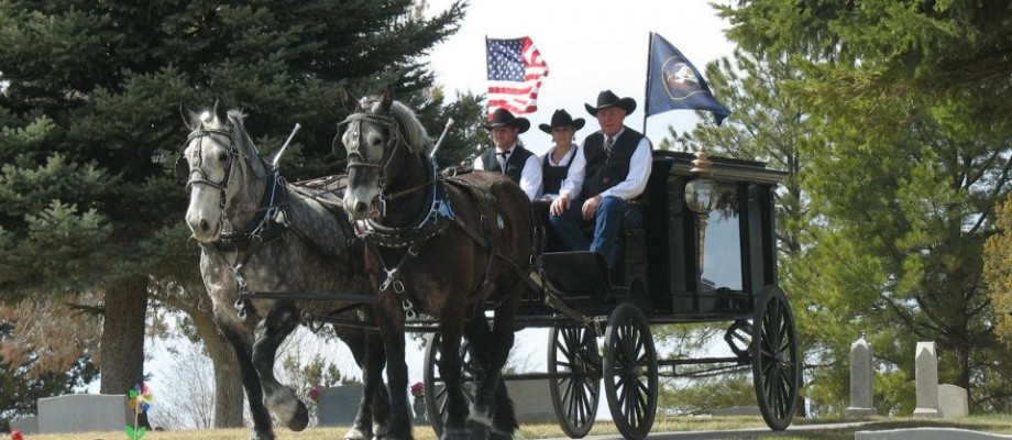 Las Vegas Draft Horse Carriage Rides at Floyd Lamb Park ...