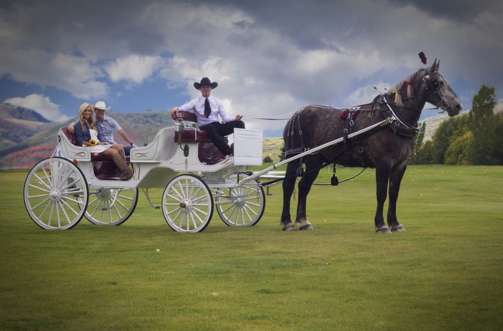 Horse Wedding Carriage - Doubletree Carriage
